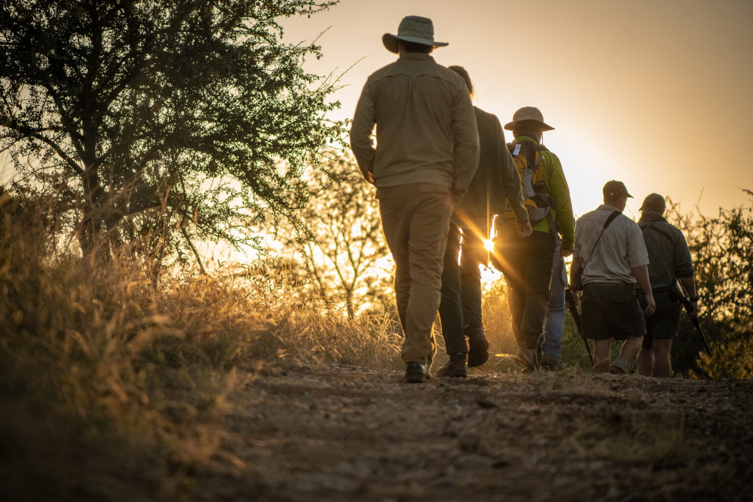 Wild Wanderer Safaris