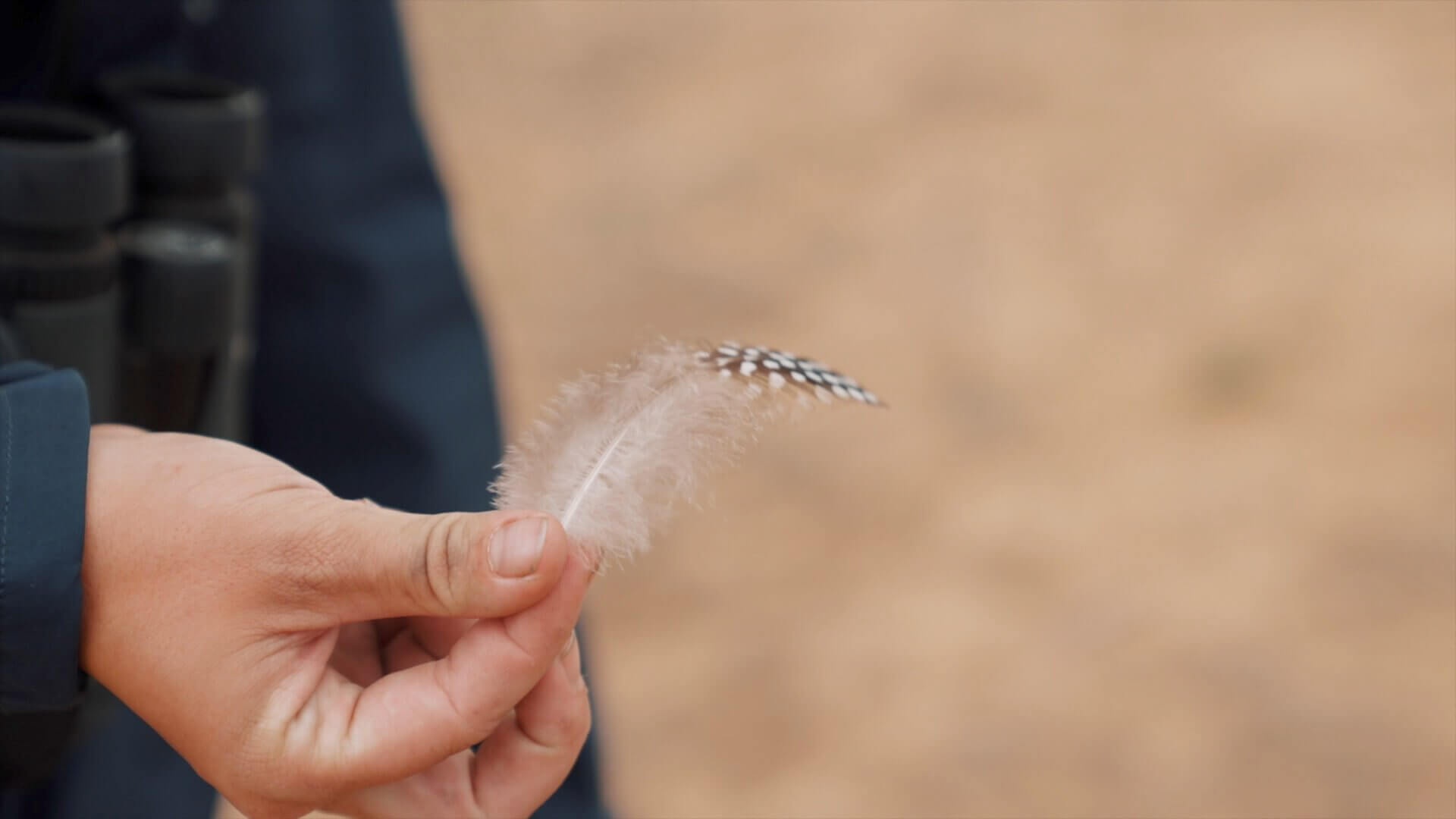 Wild Wanderer Safaris