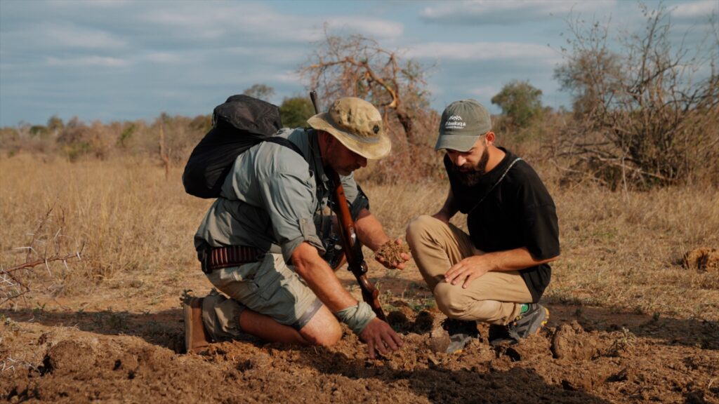 Wild Wanderer Safaris
